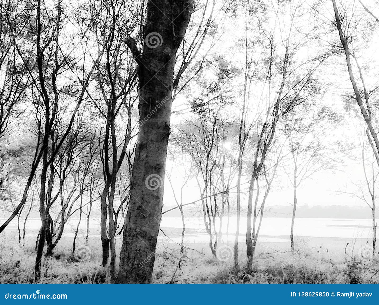 Ganga stock photo. Image of tree, river, ganga, morning - 138629850