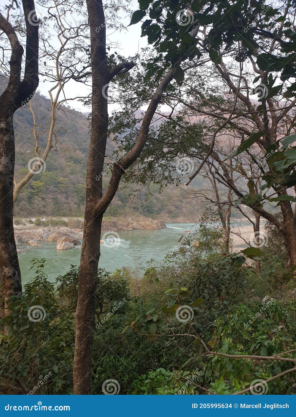 Ganges River Seen from the Jungle Stock Photo - Image of plant, autumn ...