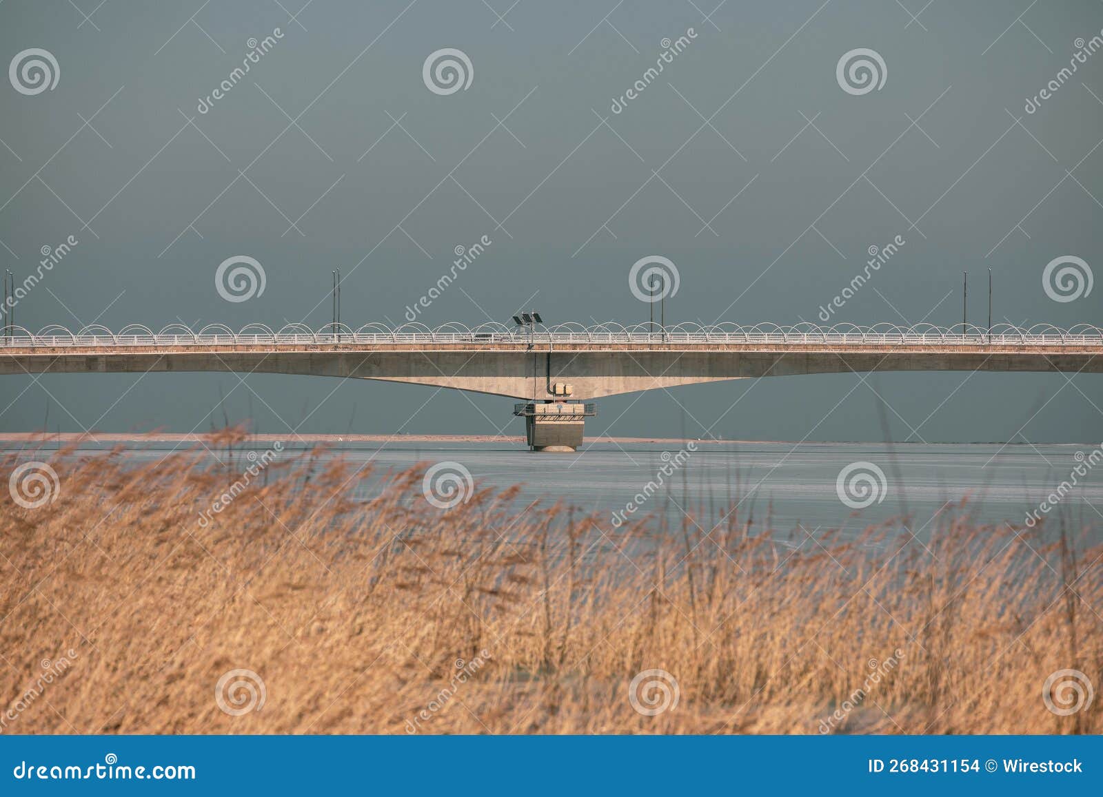 Gangwon-do Province Reed Bridge Over the River in the Background of the ...