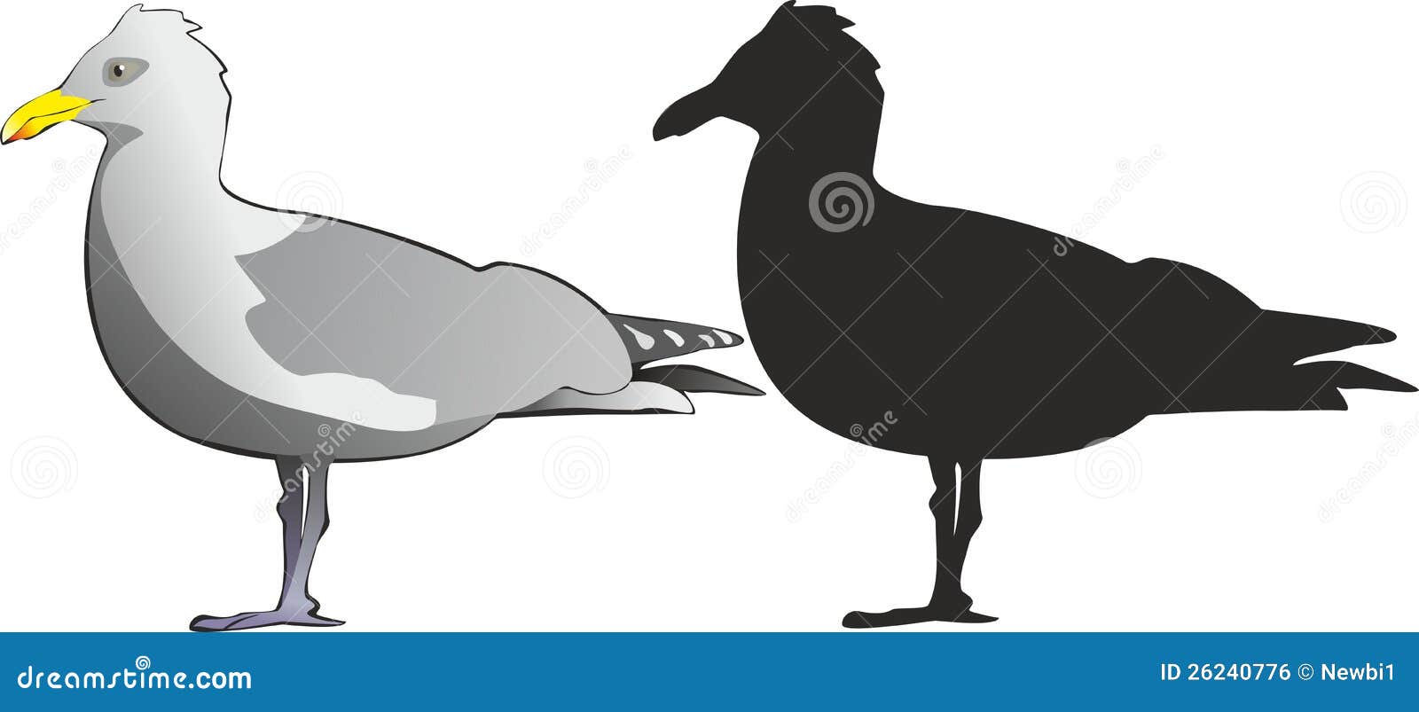 Gannet stock vector. Illustration of color, pattern, white - 26240776