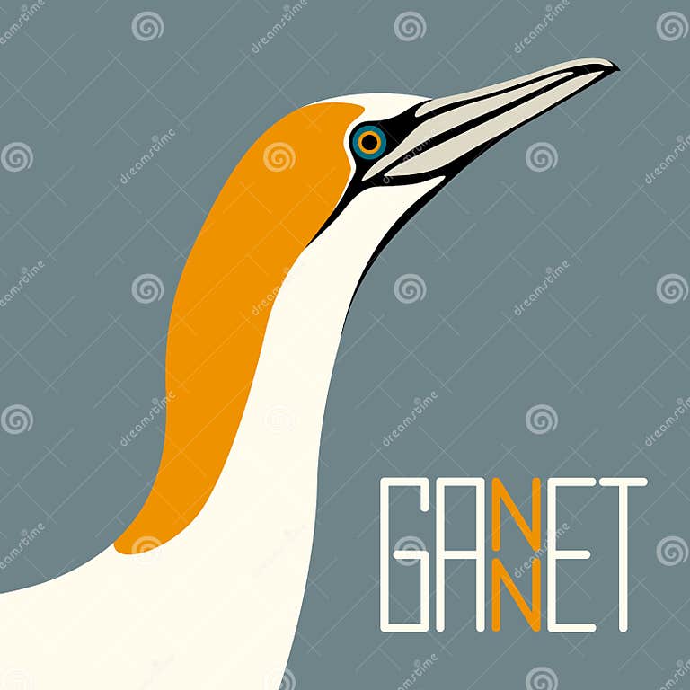 Gannet Bird Vector Illustration Flat Style Profile Stock Vector ...