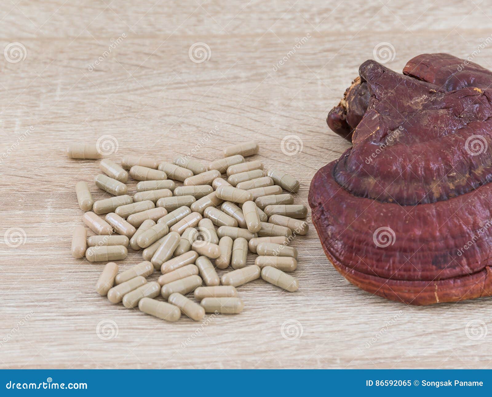 Ganoderma Lucidum Capsule - Ling Zhi Mushroom Stock Image - Image of ...