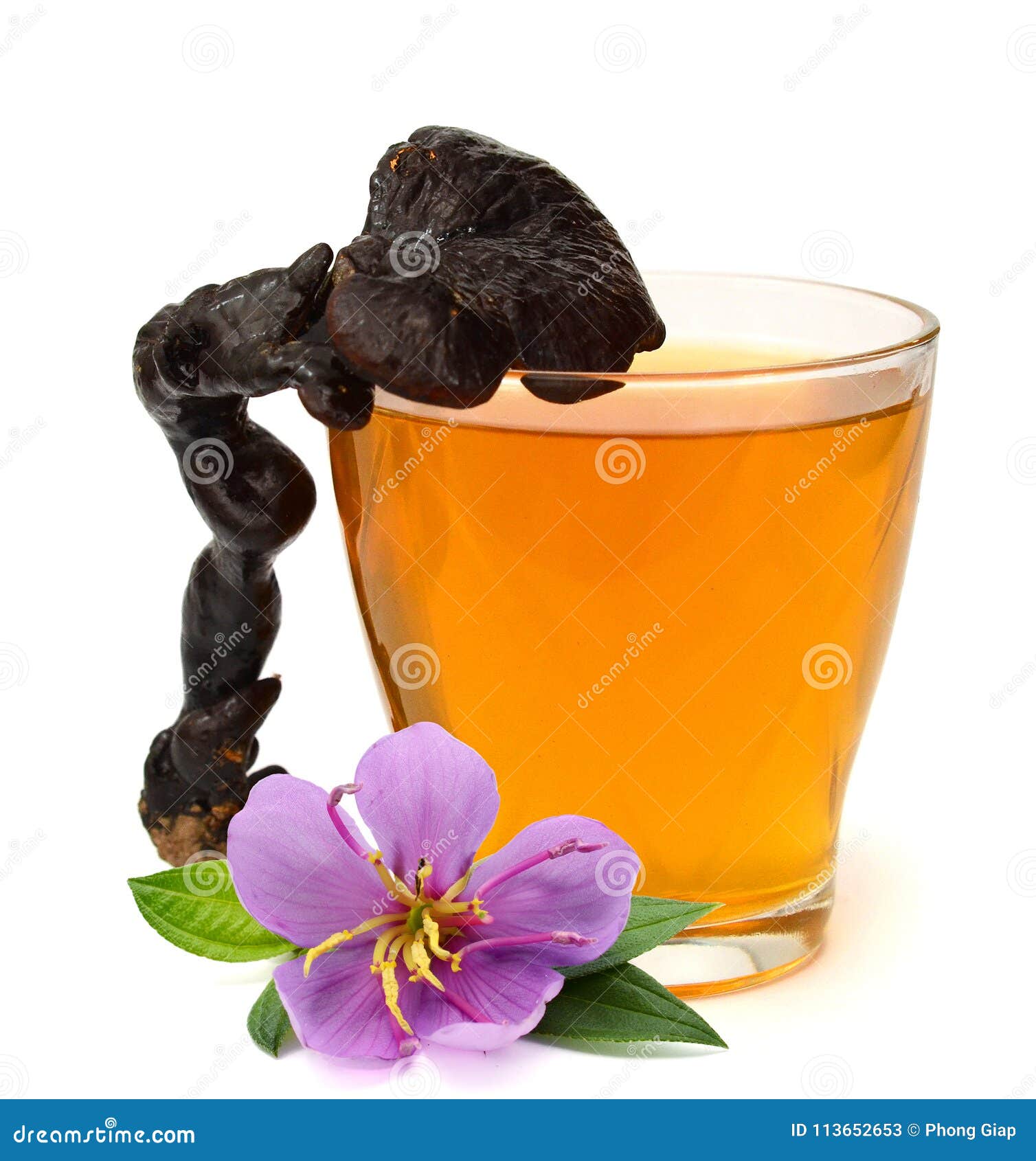 Ganoderma Lucidum. Asian, Antioxidant. Stock Image - Image of nature ...