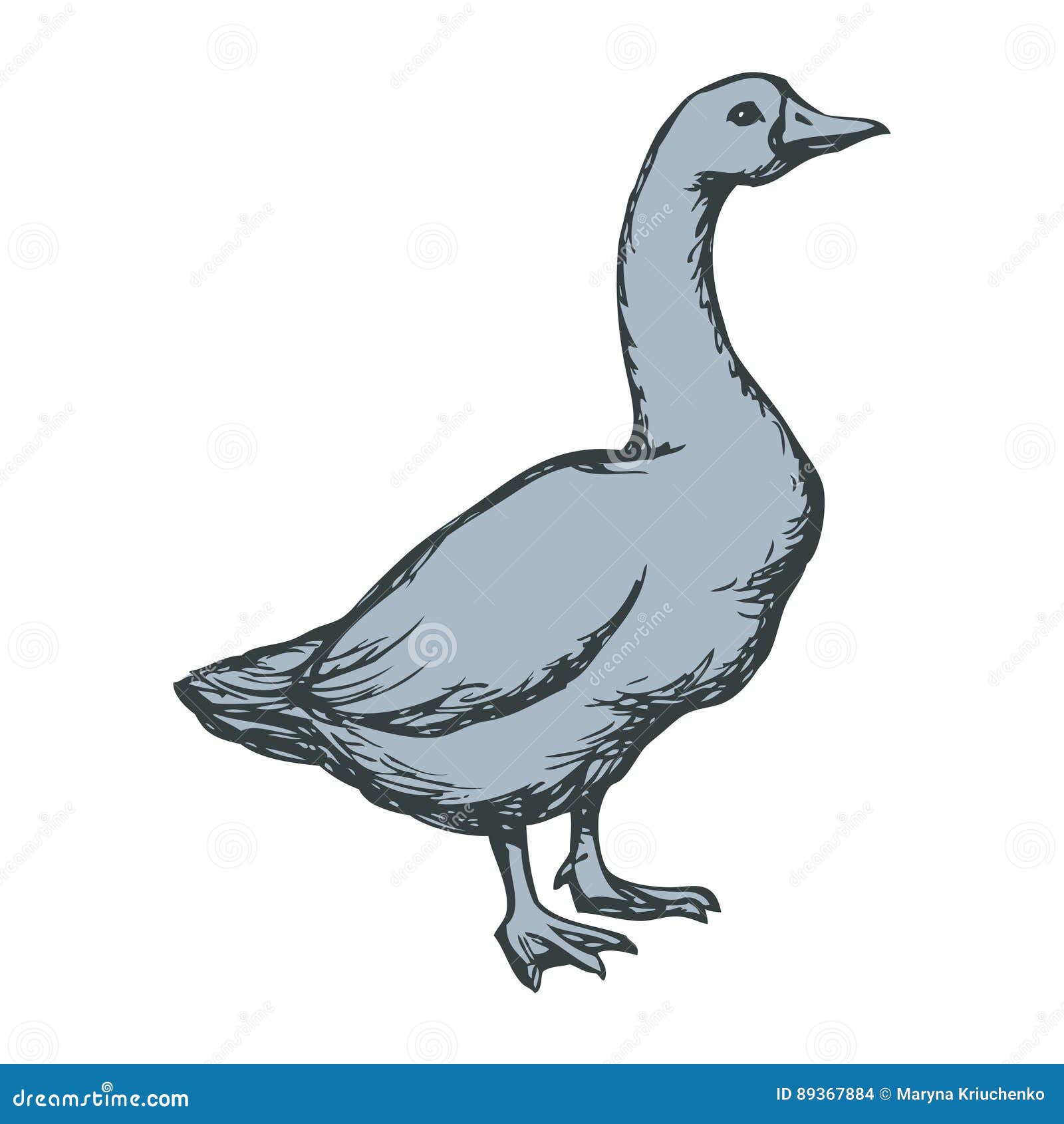 Ganso Gráfico del vector ilustración del vector. Ilustración de animal ...