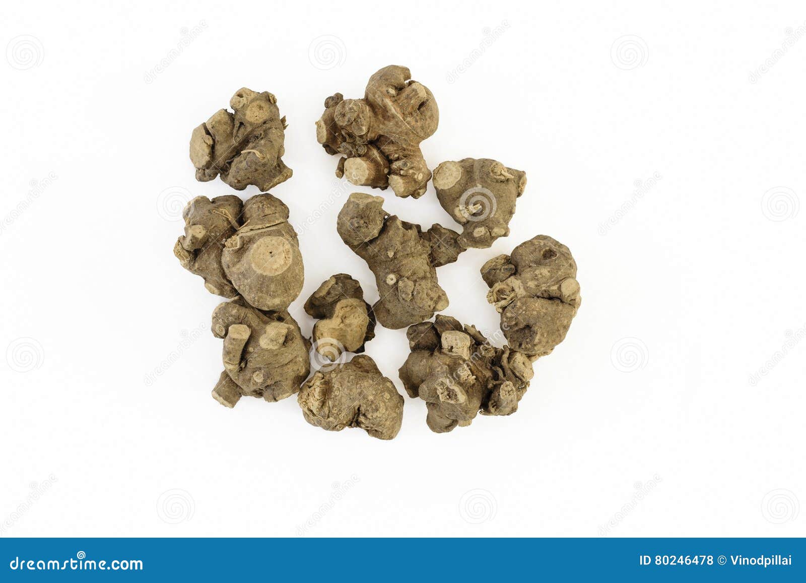 Roots Of Pepper Plant Used To Produce Kava Drink In Fiji Royalty-Free ...