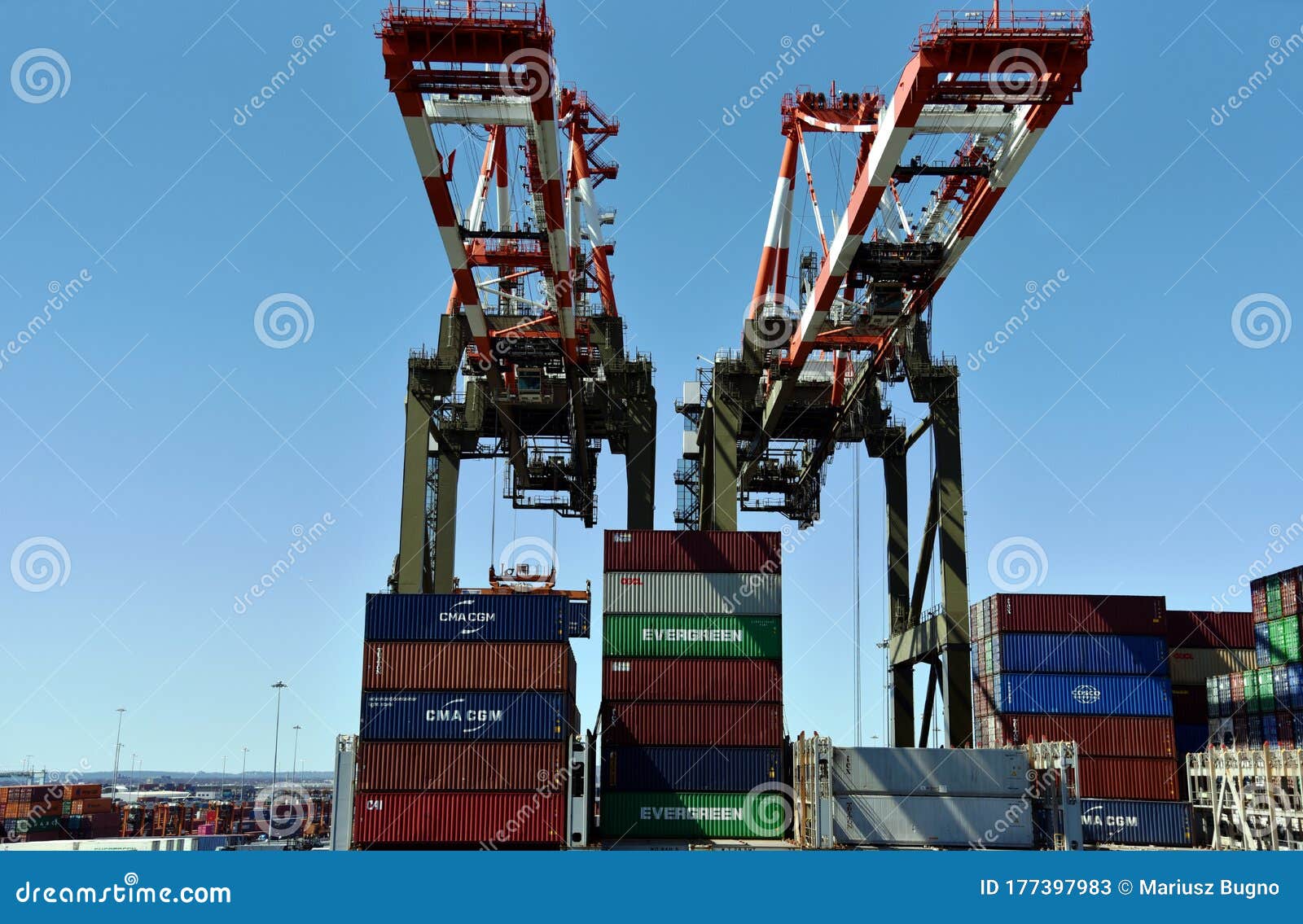 Gantry Cranes during Cargo Operation in the Container Terminal in ...