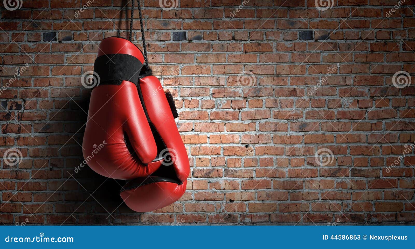 Gants de boxe image stock. Image du objet, sport, combat - 44586863