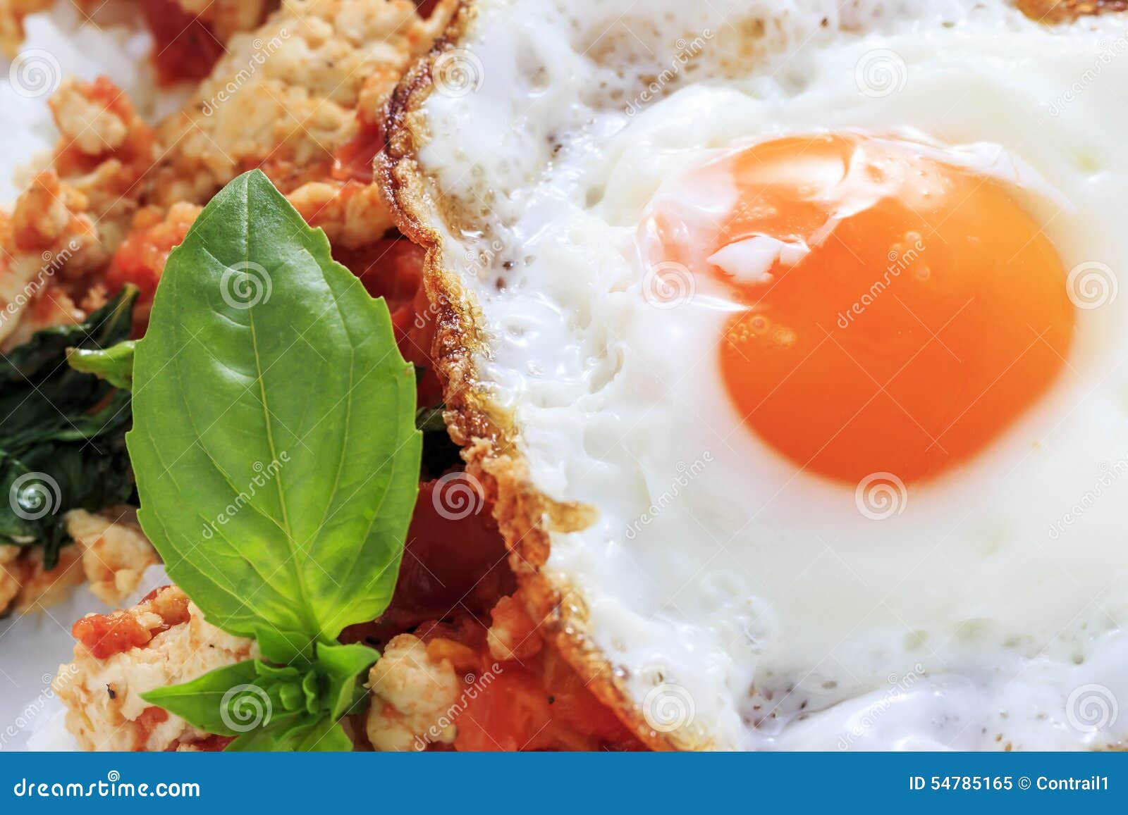 Gapao rice stock image. Image of food, sunny, thai, fried - 54785165