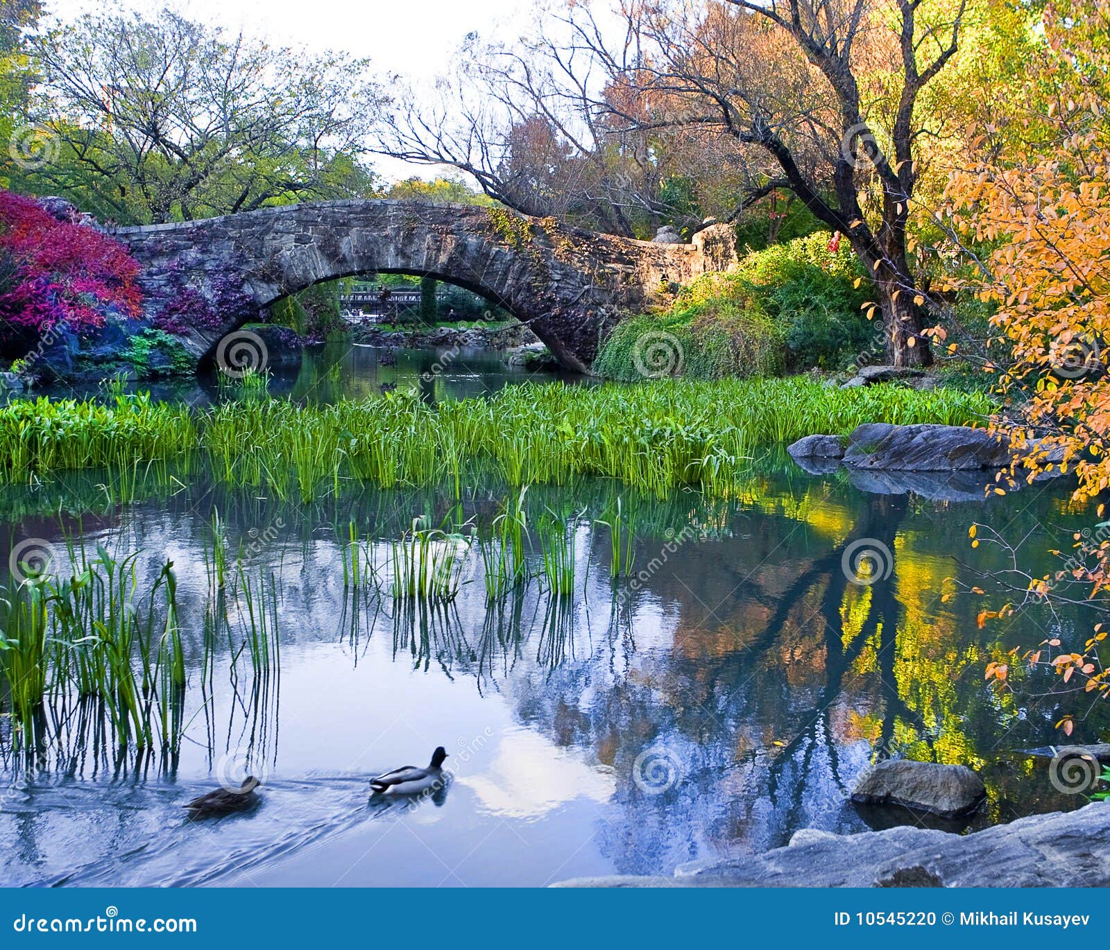 Gapstow Bridge in Central Park Stock Photo - Image of duck, frame: 10545220