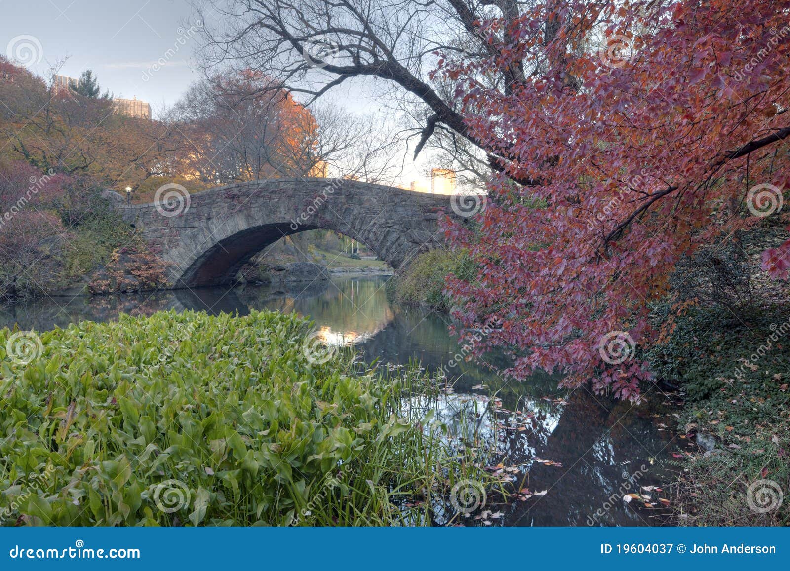 Gapstow Bridge - Central Park Stock Image - Image of central, leaves ...