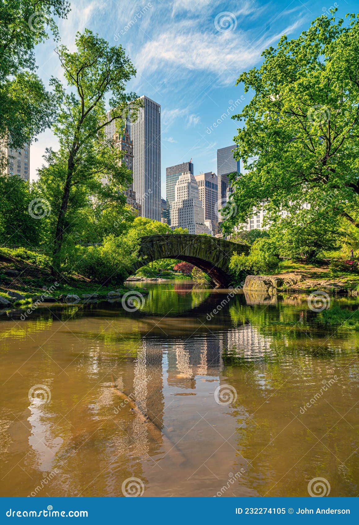Gapstow Bridge in Central Park Stock Image - Image of manhattan, plants ...