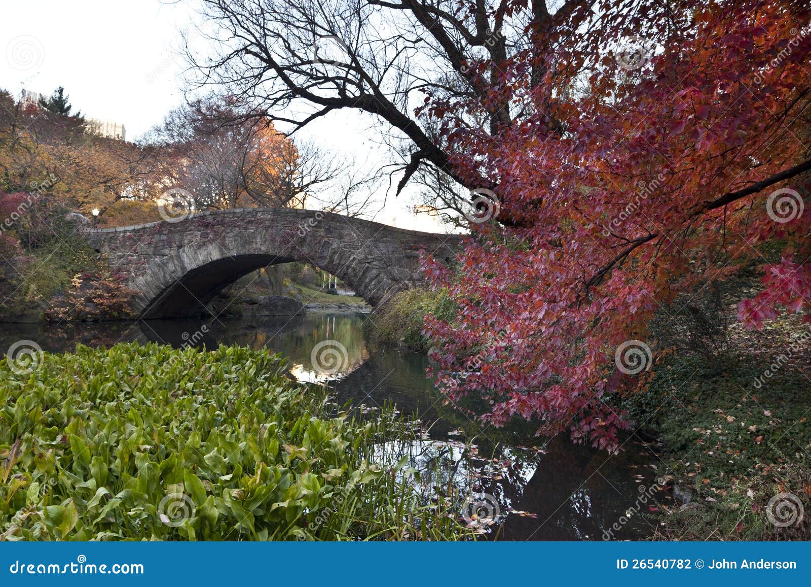 Gapstow Bridge - Central Park Stock Photo - Image of foliage, city ...