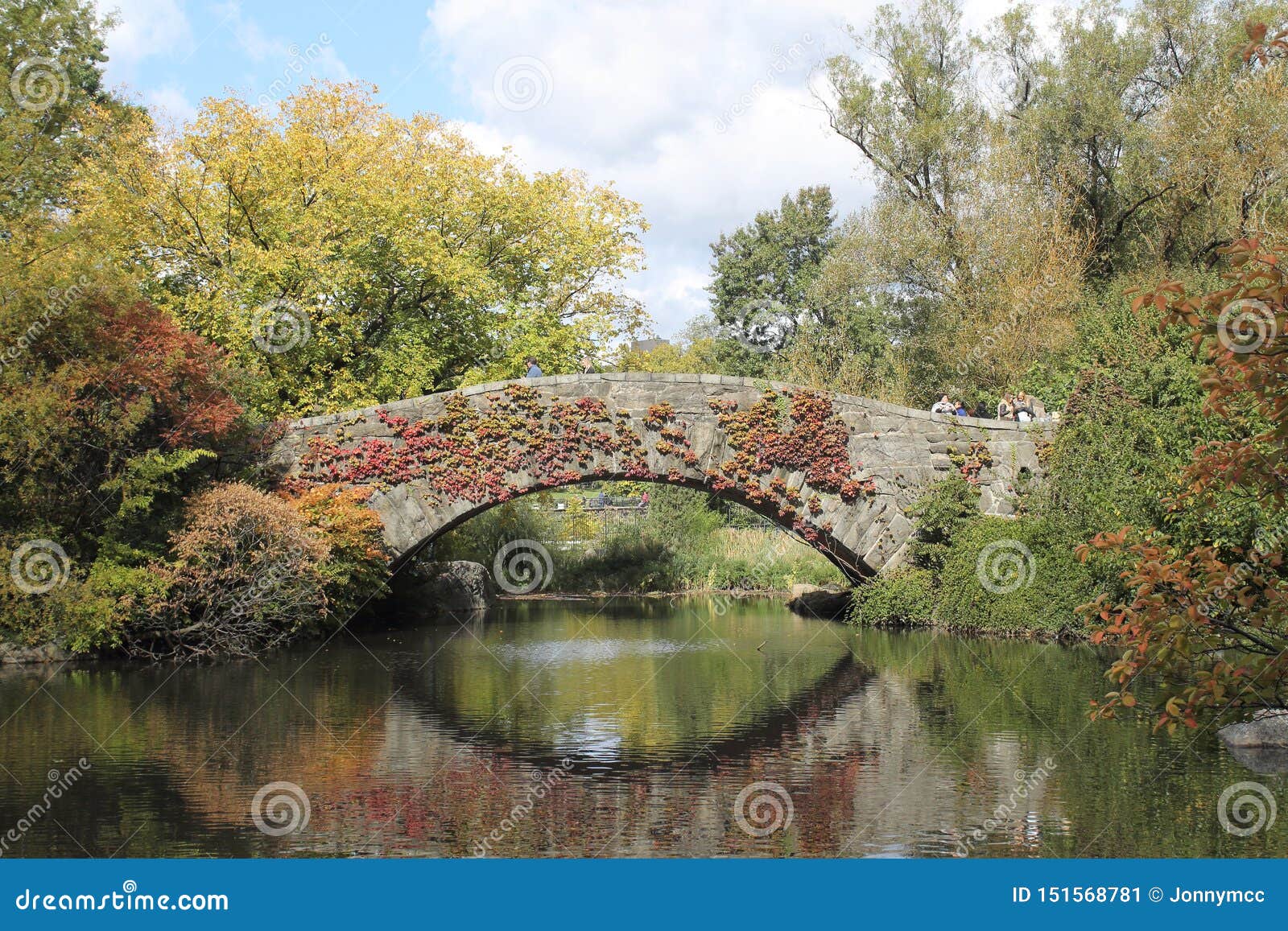 Gapstow Bridge in Central Park Stock Image - Image of bridge, cloudy ...