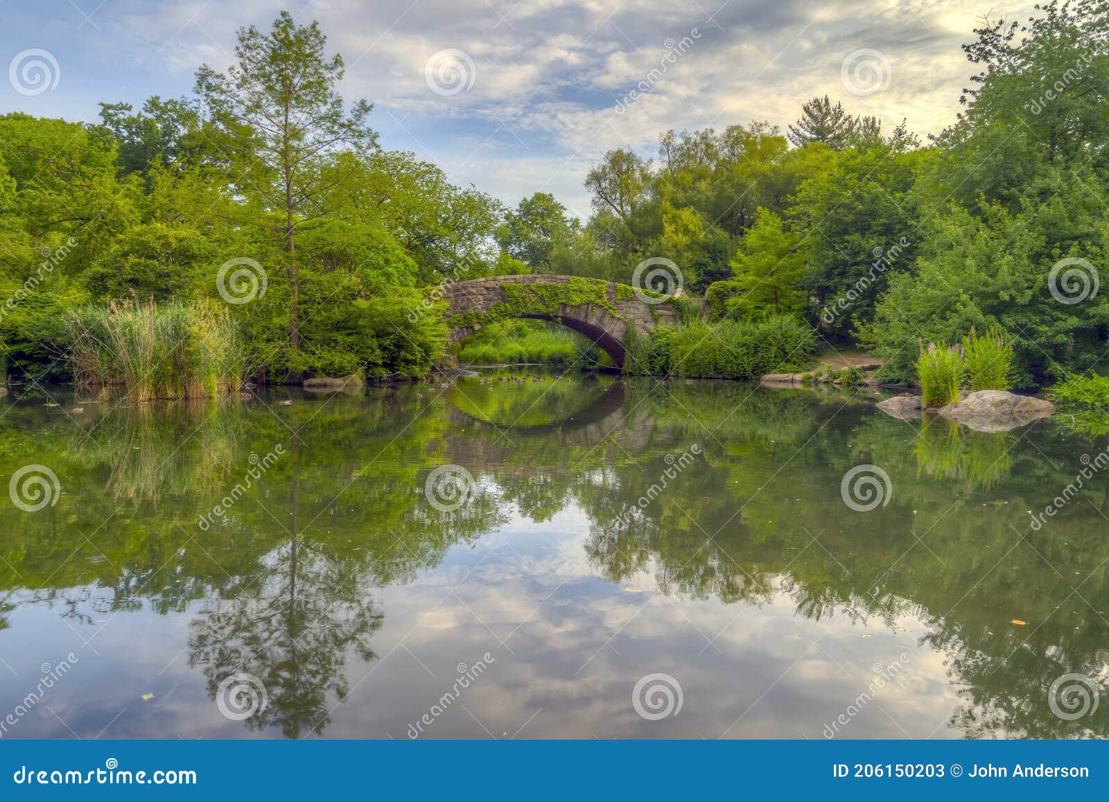 Gapstow Bridge in Central Park Stock Image - Image of york, summer ...