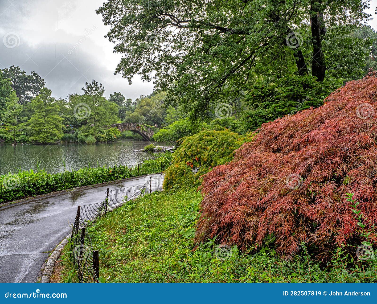 Gapstow Bridge in Central Park, in Rain Stock Image - Image of public ...