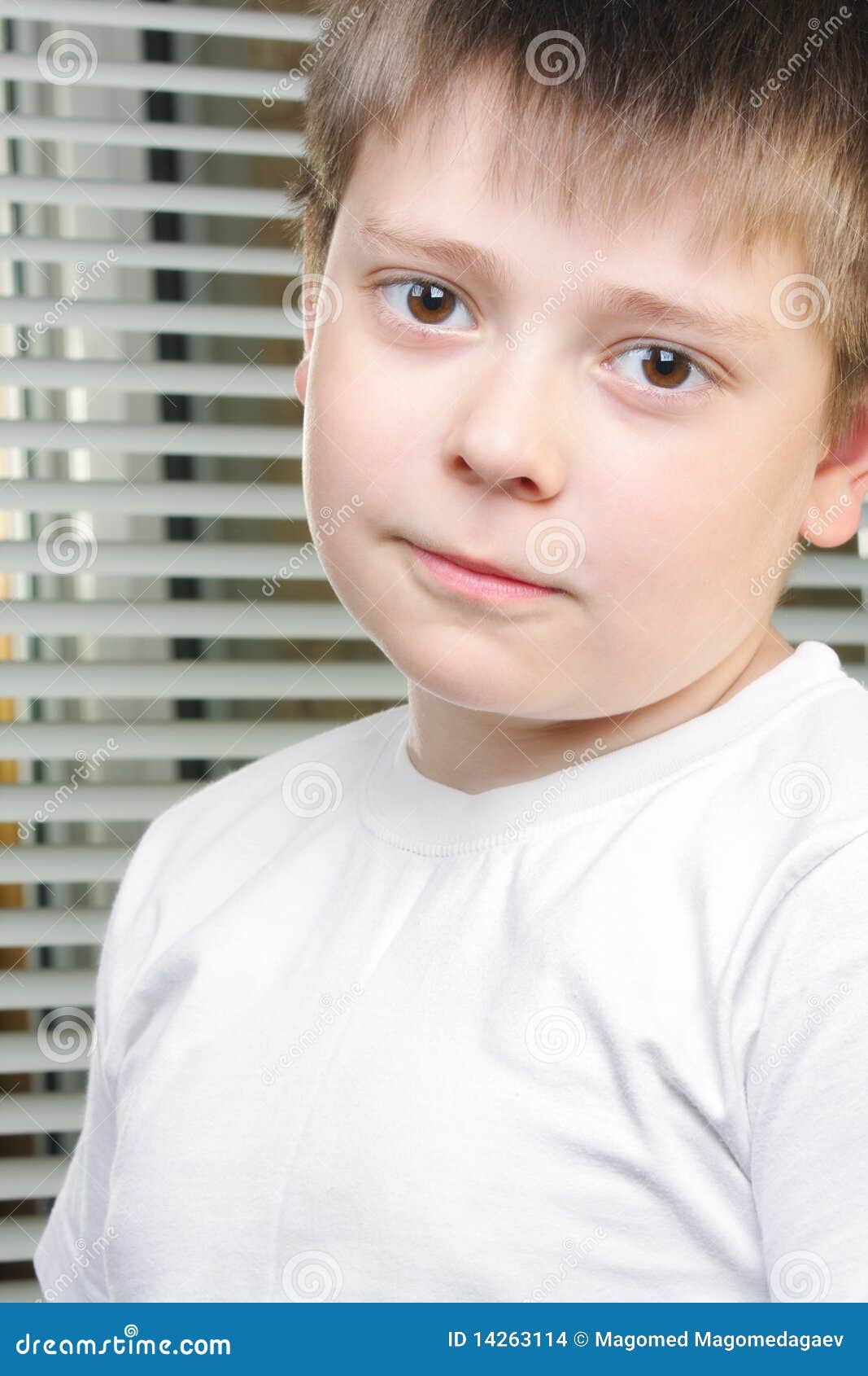 Garçon confiant photo stock. Image du caucasien, regard - 14263114
