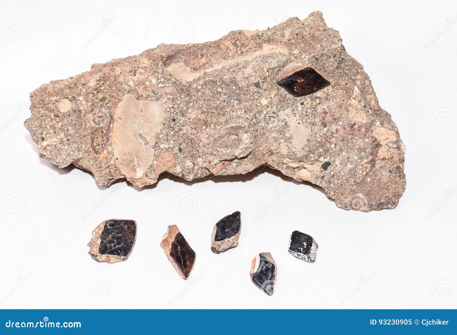 Gar Fish Scales Fossilized in Sandstone Stock Image - Image of scales ...