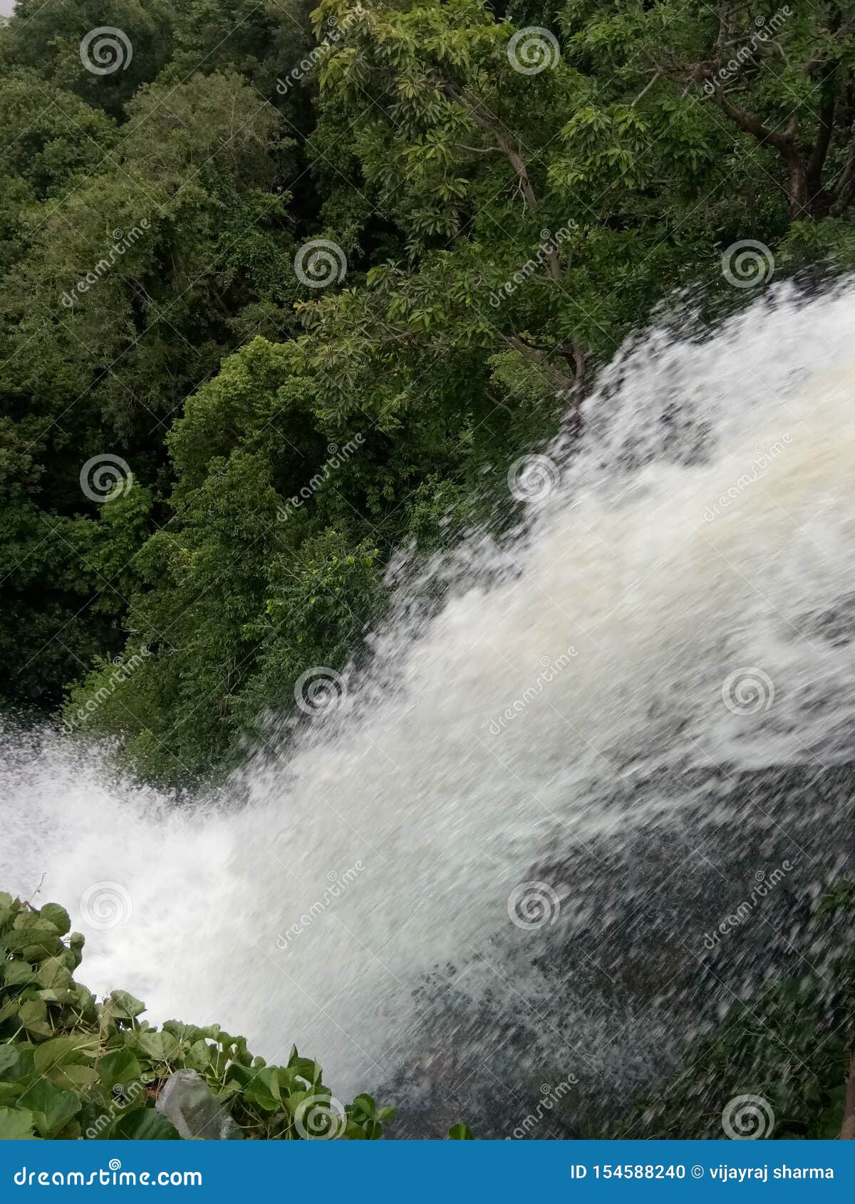 The GARADIYA stock photo. Image of waterfall, wildlife - 154588240