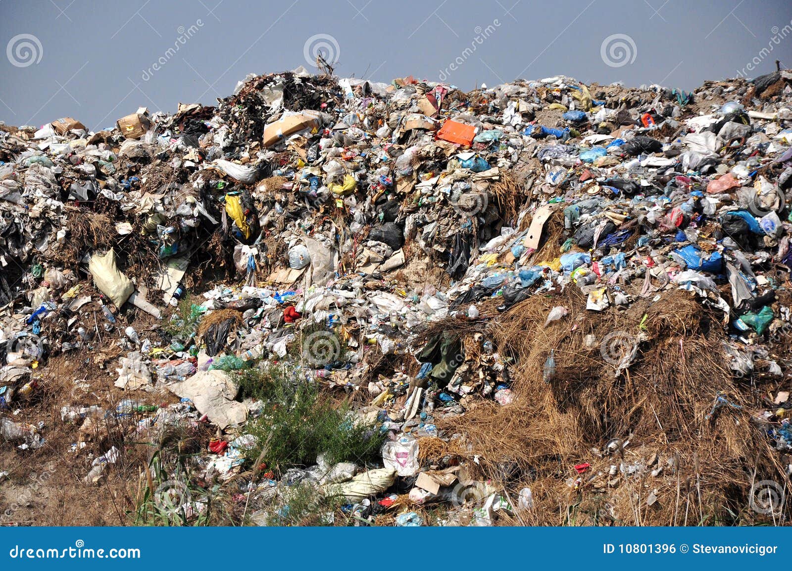 Garbage stock photo. Image of bottle, crumpled, environment - 10801396