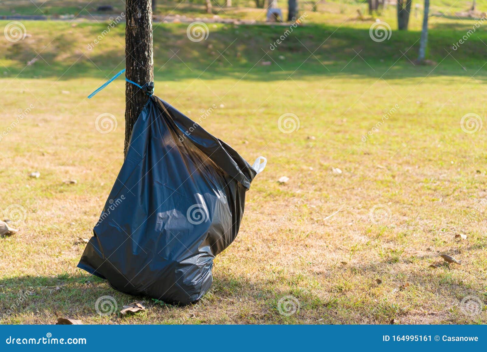 Garbage Bag Tied To a Treein the Park on Green Grass Stock Image ...