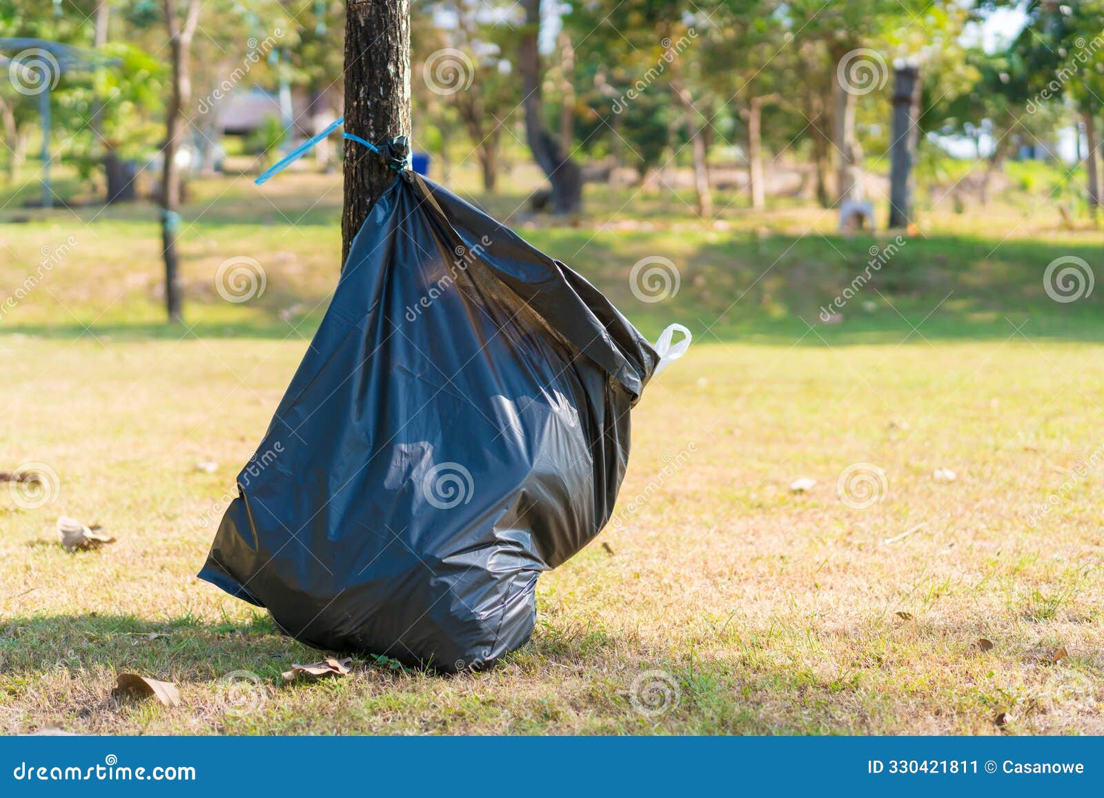 Garbage Bag Tied To a Treein the Park on Green Grass Stock Image ...