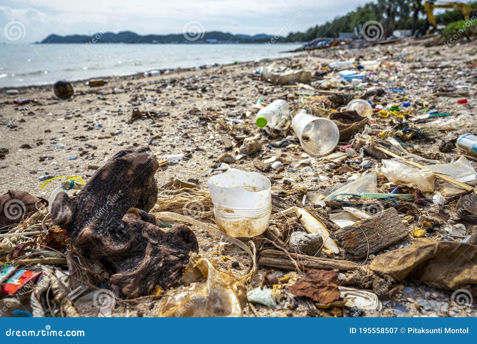 Garbage on the beach stock image. Image of ocean, garbage - 195558507