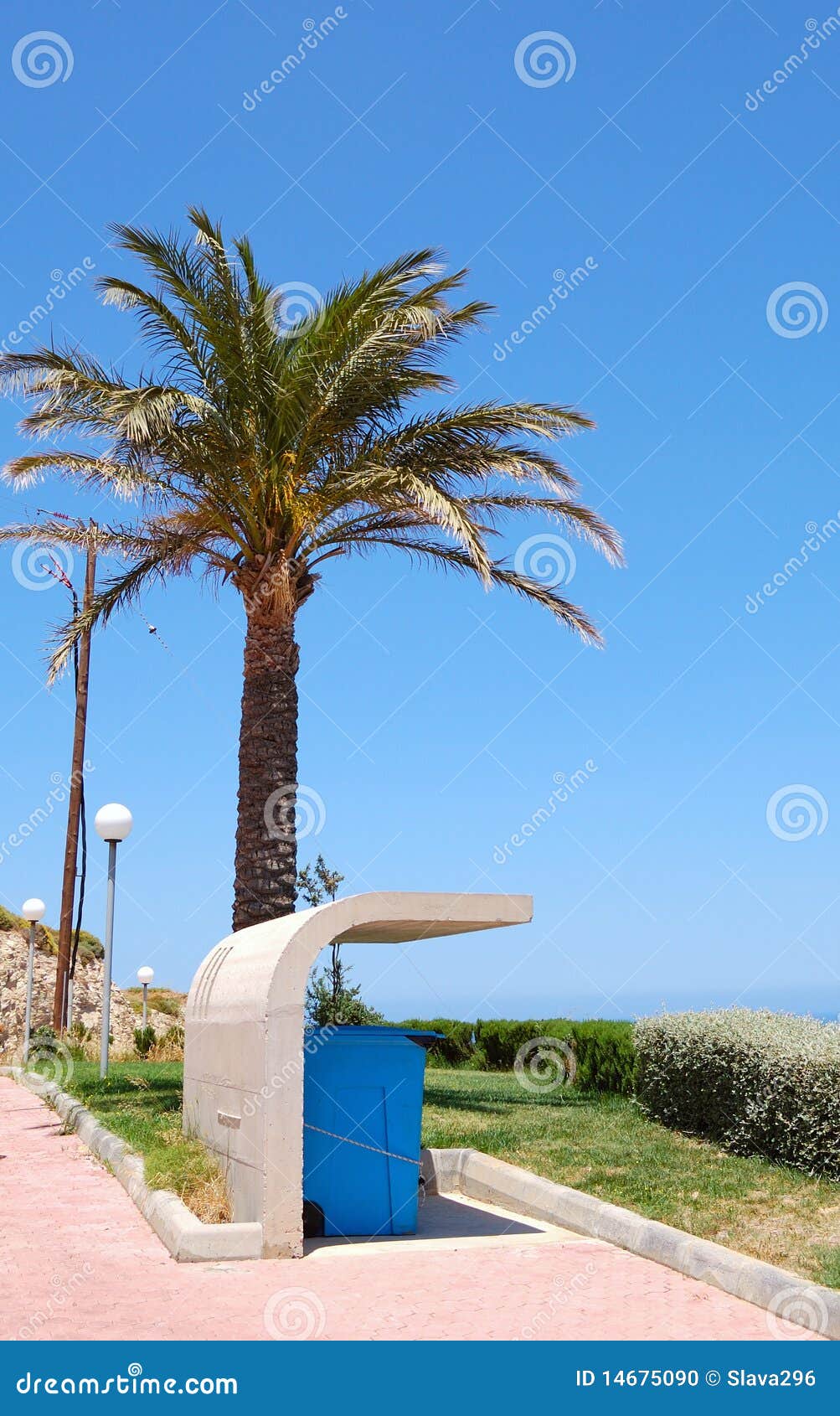 Garbage Bin Under Concrete Cover and Palm Tree Stock Photo - Image of ...
