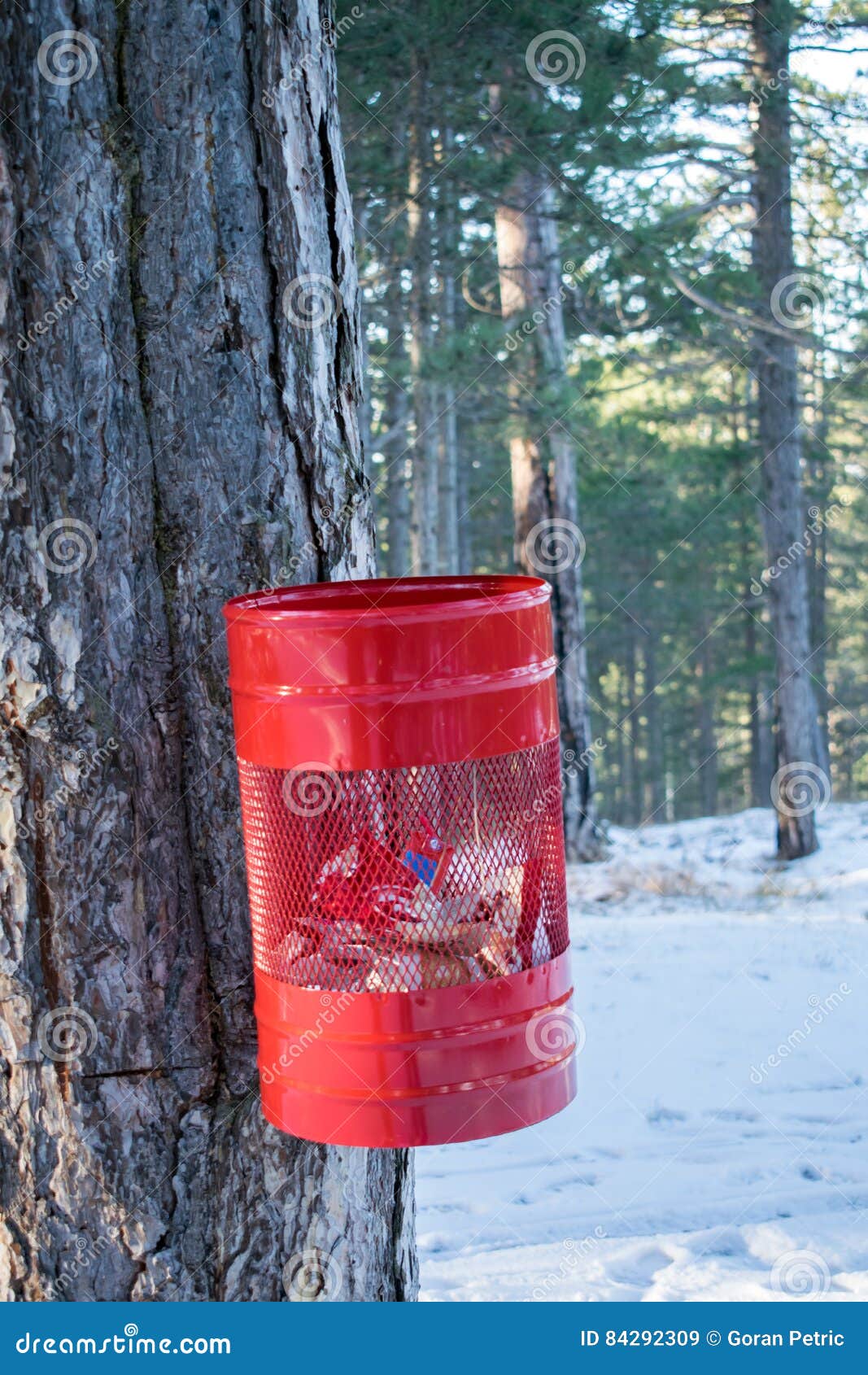 Garbage bin in the woods stock image. Image of color - 84292309
