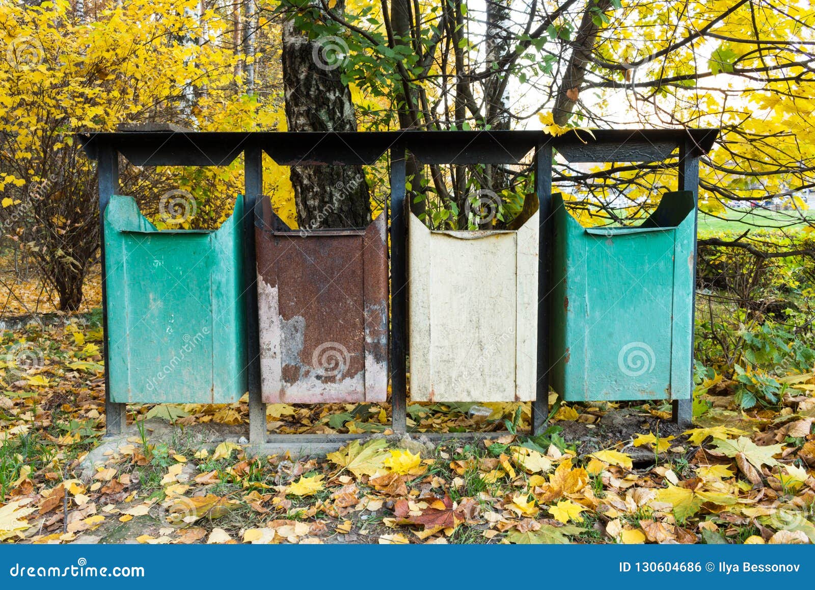 Garbage Bins in the Forest for the Purity of Nature Stock Photo - Image ...