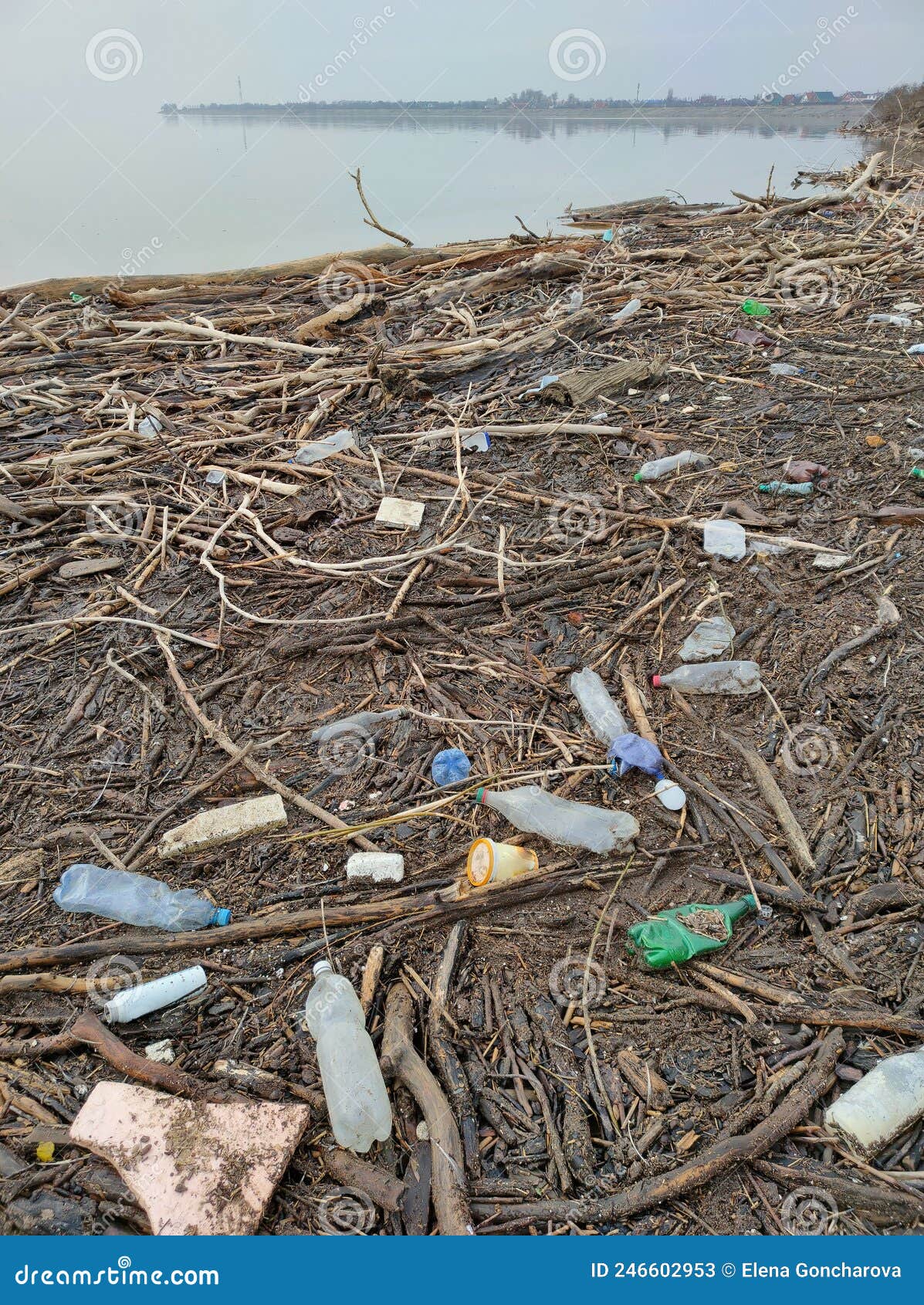 Garbage and Bottles on the Shore of a Freshwater Reservoir. Stock Image ...