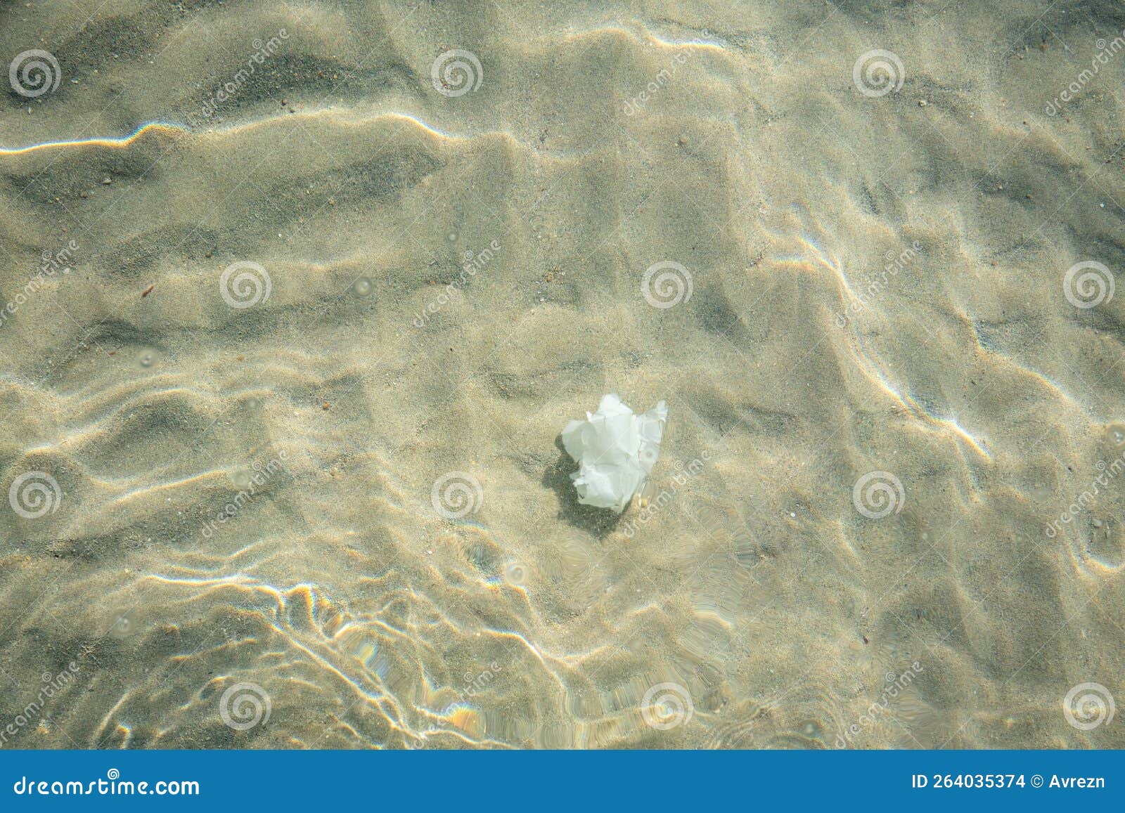 Garbage at the Bottom of the Sea View through the Water Stock Photo ...