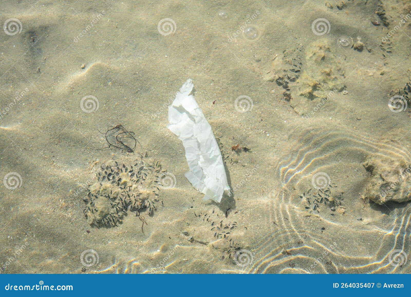 Garbage at the Bottom of the Sea View through the Water Stock Image ...