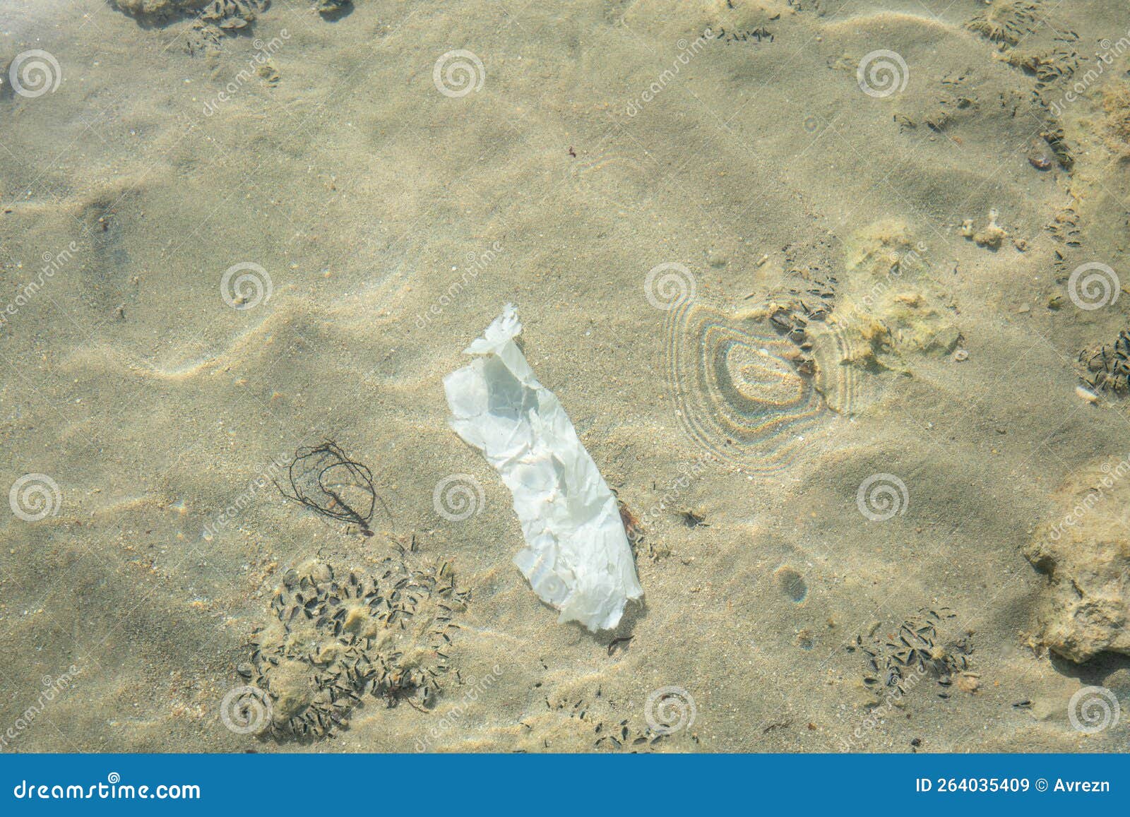 Garbage at the Bottom of the Sea View through the Water Stock Image ...