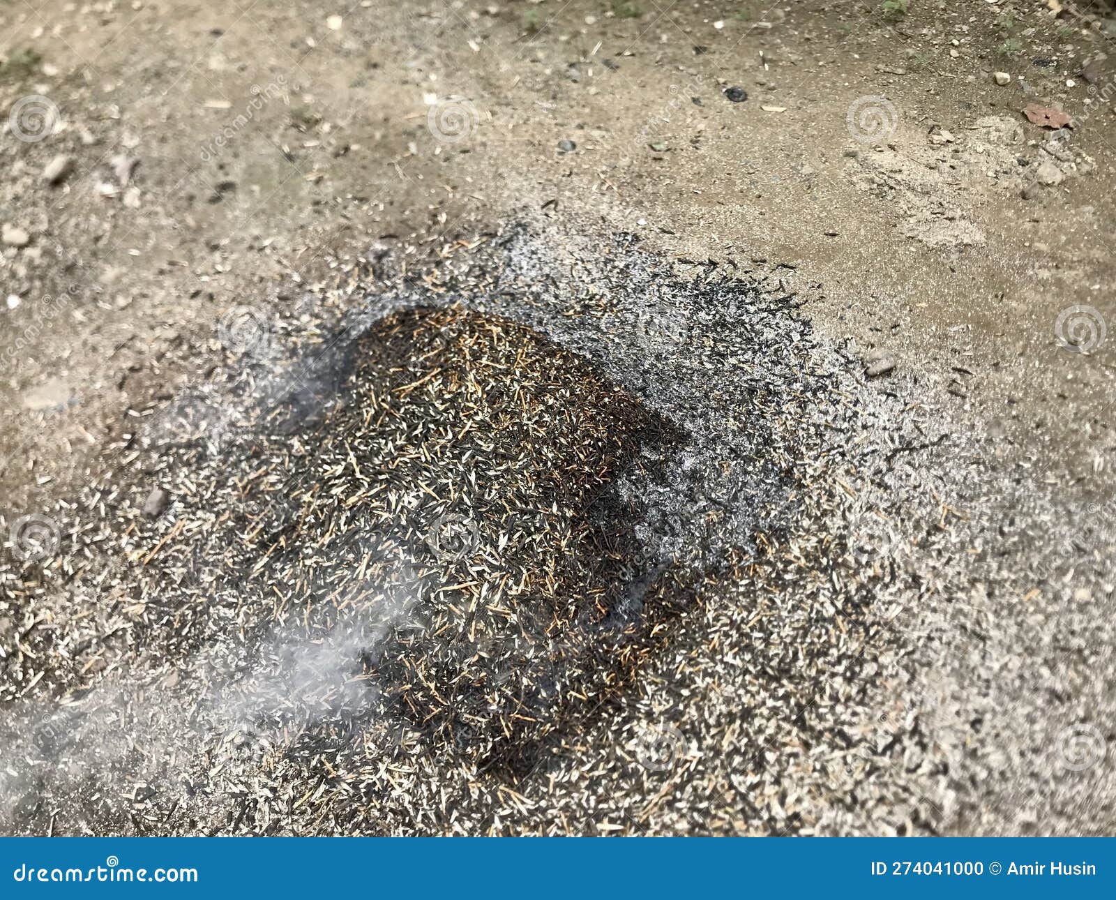 Garbage Burning Ash And Weeds Royalty-Free Stock Photo | CartoonDealer ...