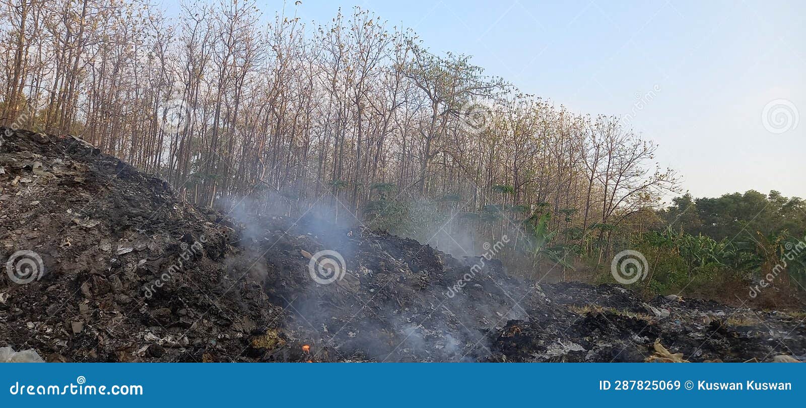 Garbage burning stock image. Image of autumn, plant - 287825069