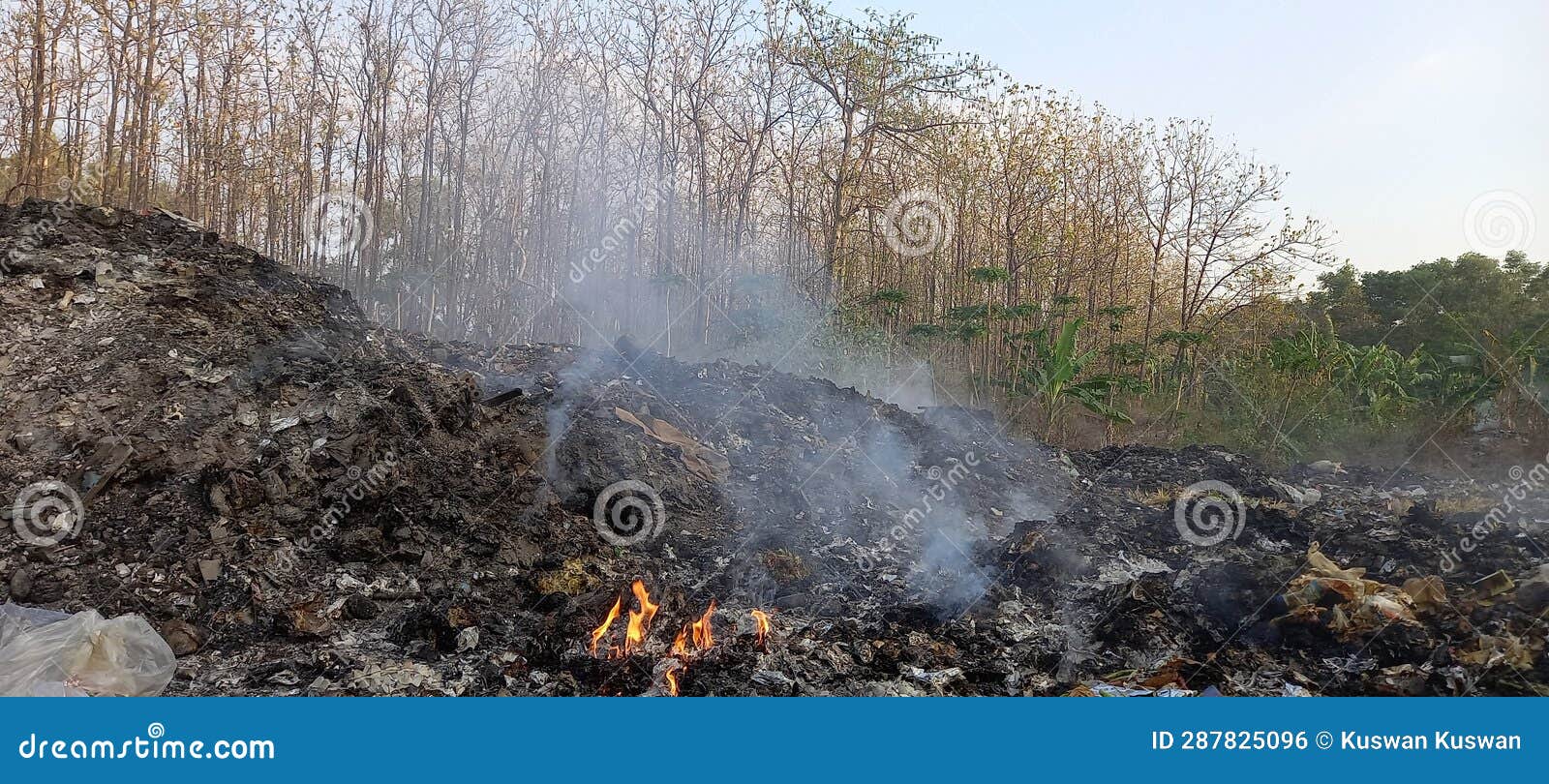 Garbage burning stock photo. Image of water, wilderness - 287825096