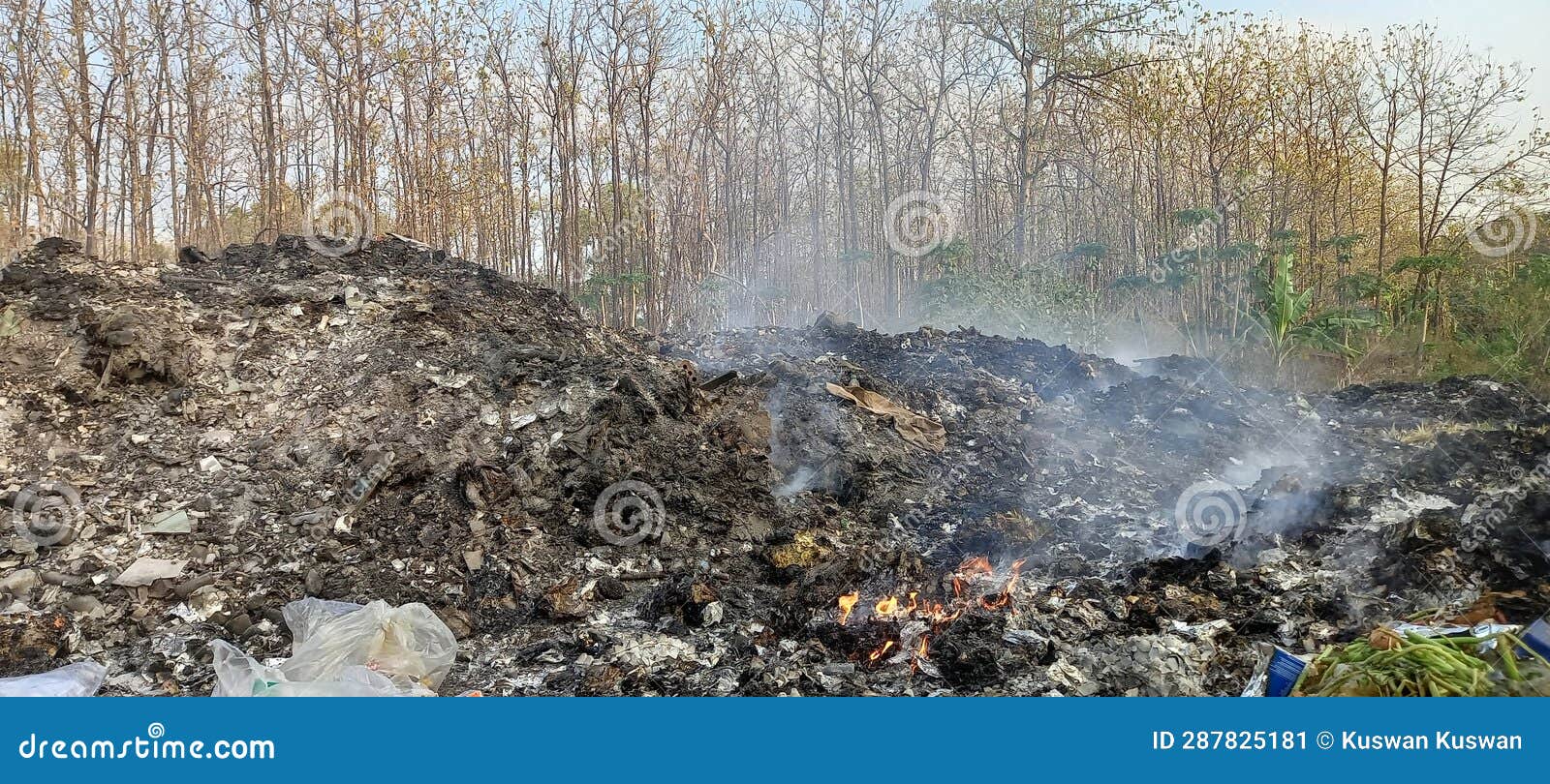 Garbage burning stock image. Image of geology, autumn - 287825181