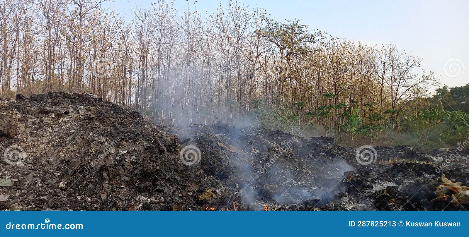 Garbage burning stock image. Image of waste, stream - 287825213