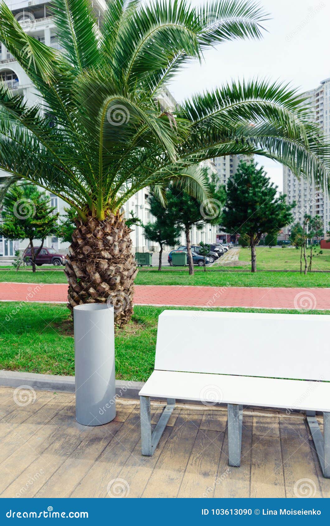 Garbage Can and Bench in City Park with Palm Trees. Stock Photo - Image ...