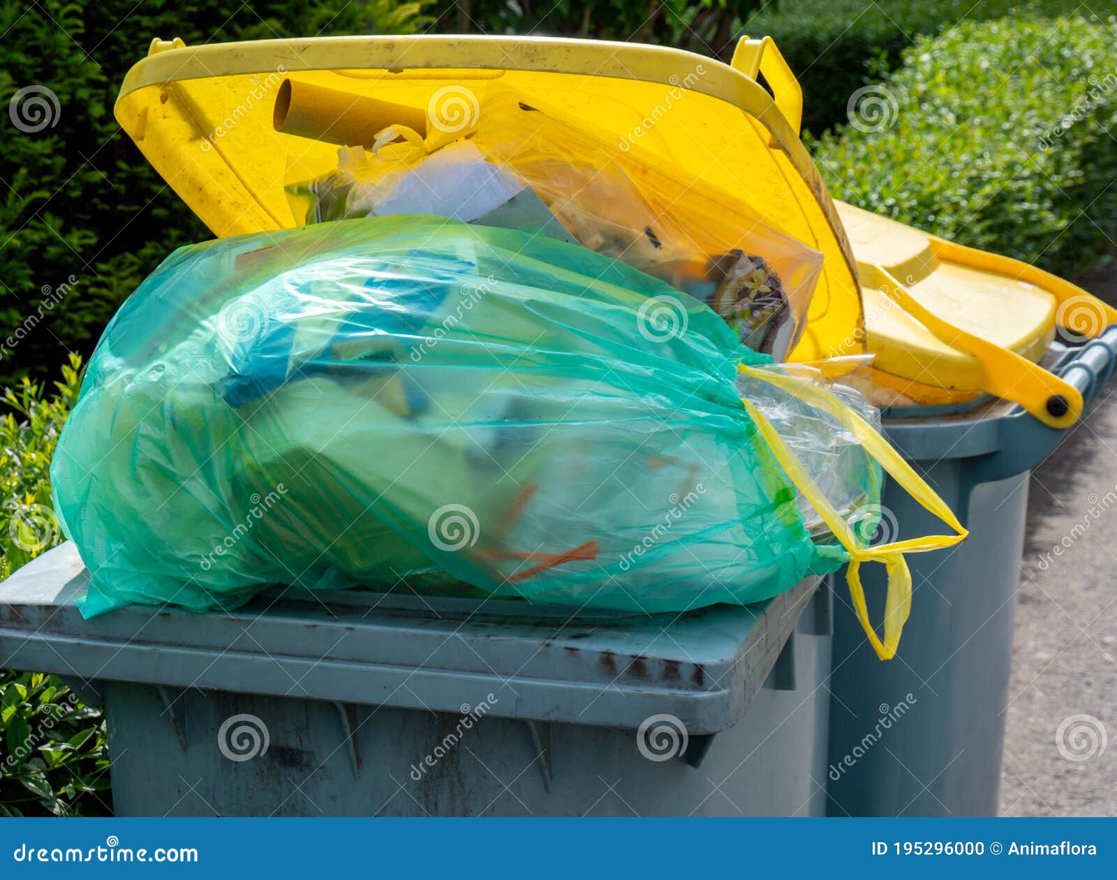 Garbage Can Full of Plastic Waste Environment Stock Photo - Image of ...