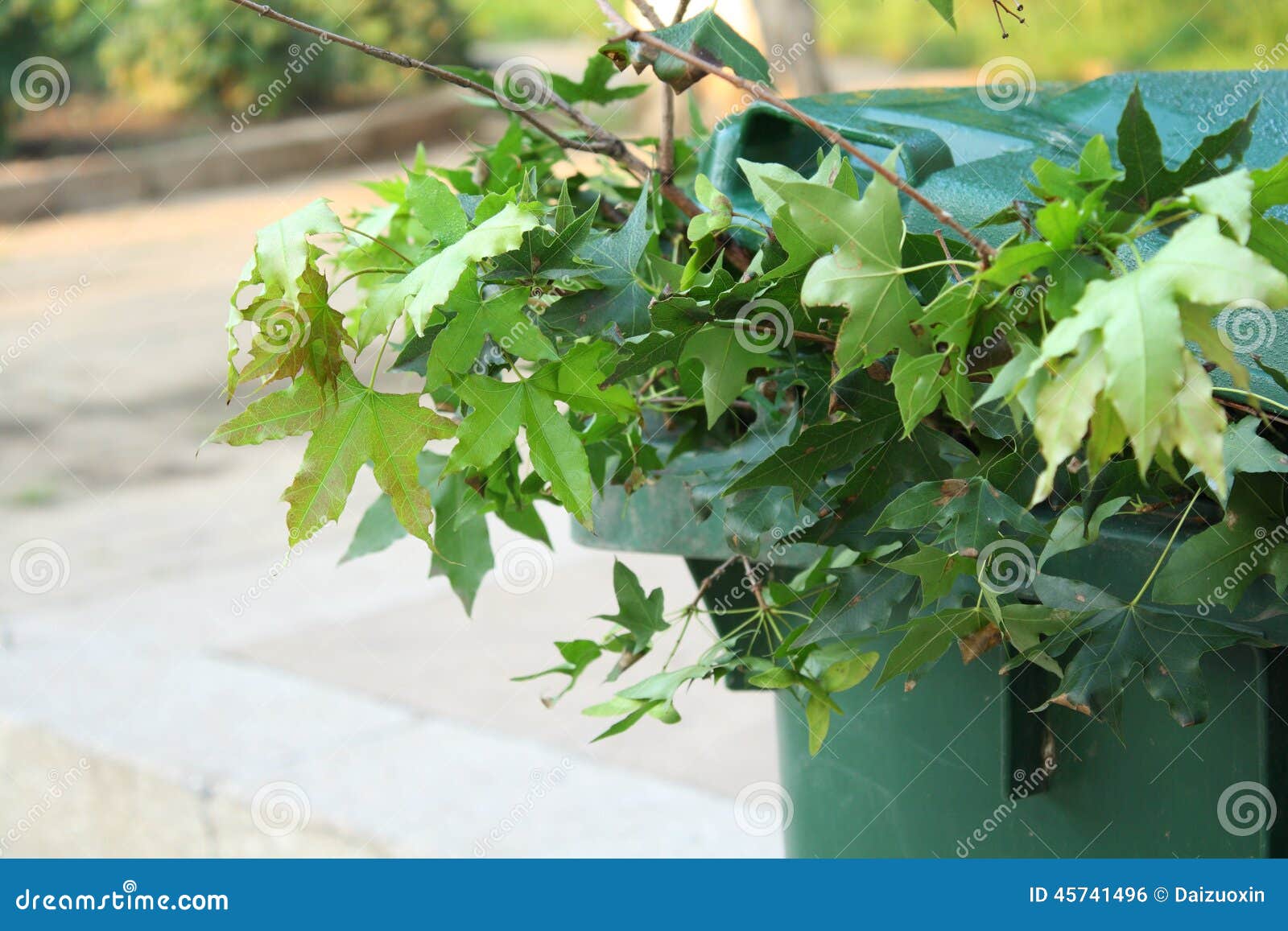 Garbage Can stock photo. Image of life, green, environmental - 45741496