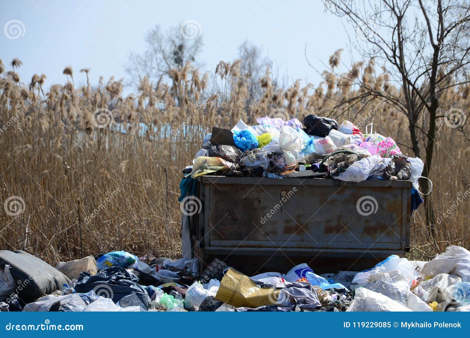 The Garbage Can is Packed with Garbage and Waste. Untimely Remov ...