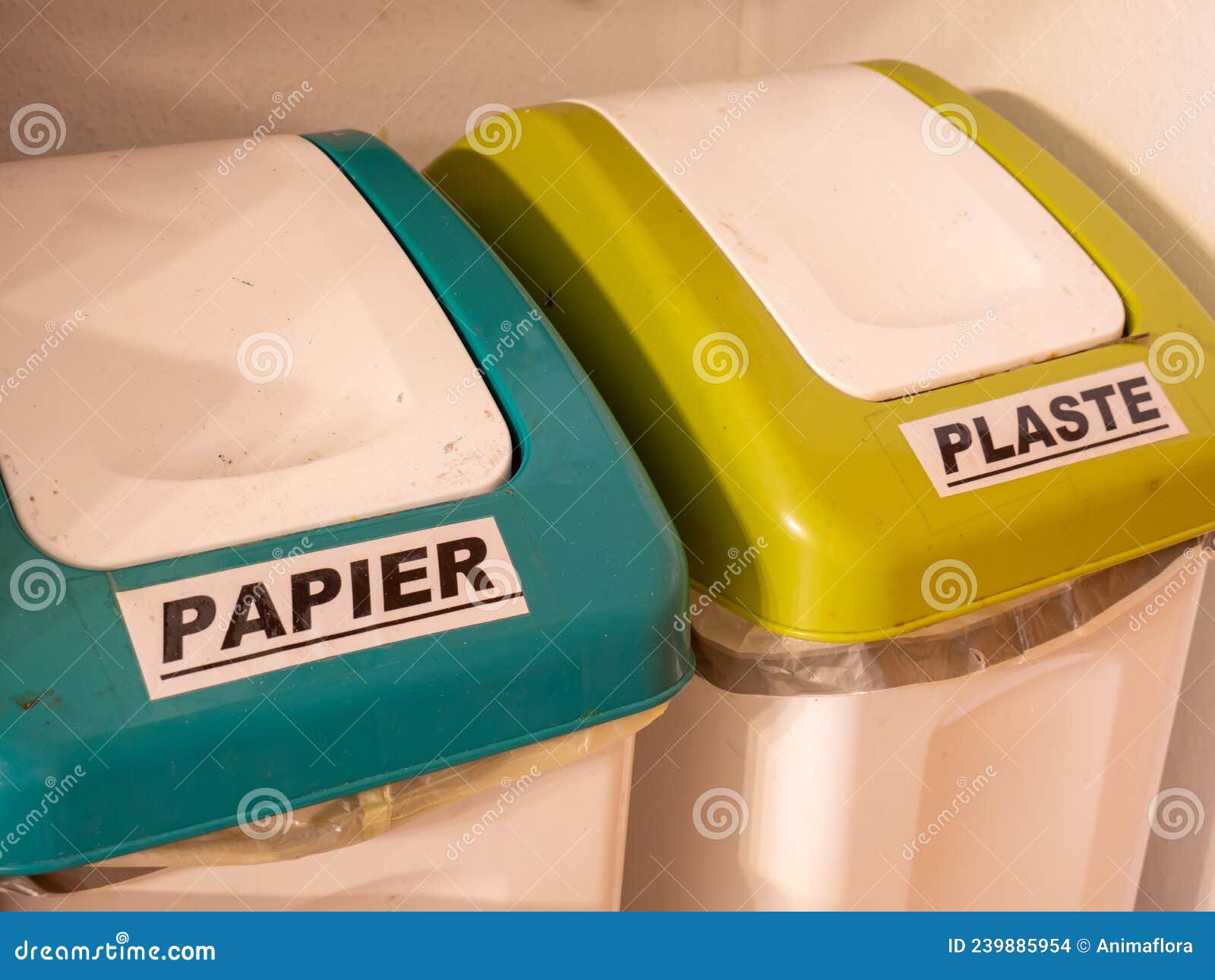 Garbage Can for Paper and Plastic Waste Separation in German Stock ...