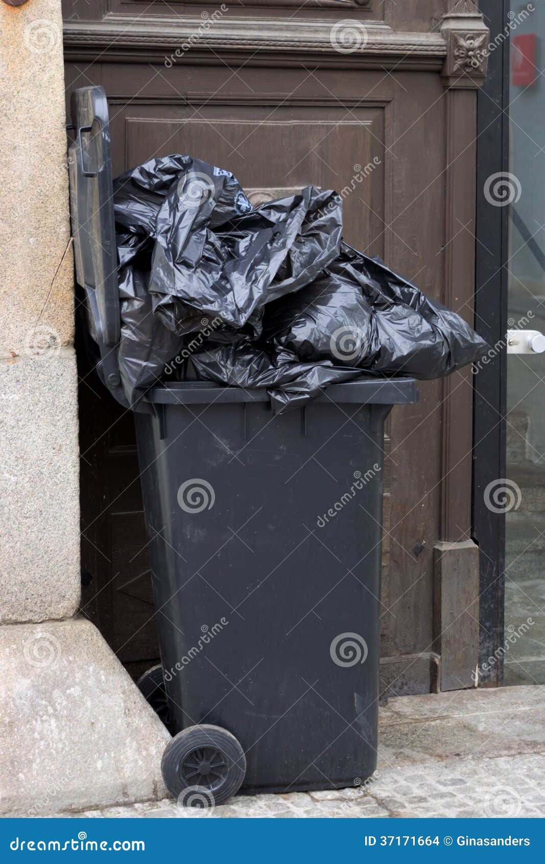 Garbage can stock photo. Image of nature, manure, environmental - 37171664