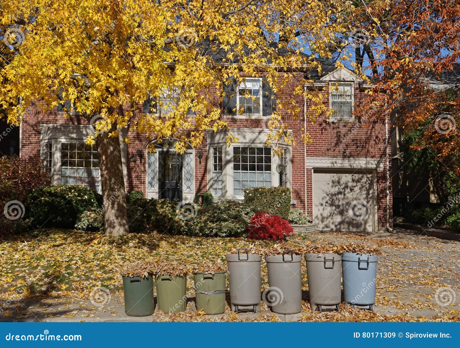 Garbage Cans Full of Collected Leaves Stock Image - Image of cans, work ...