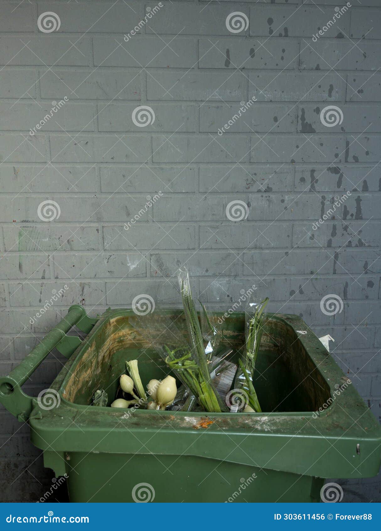 Garbage Cans with Rotting Broccoli and Vegetables in Plastic Packaging ...