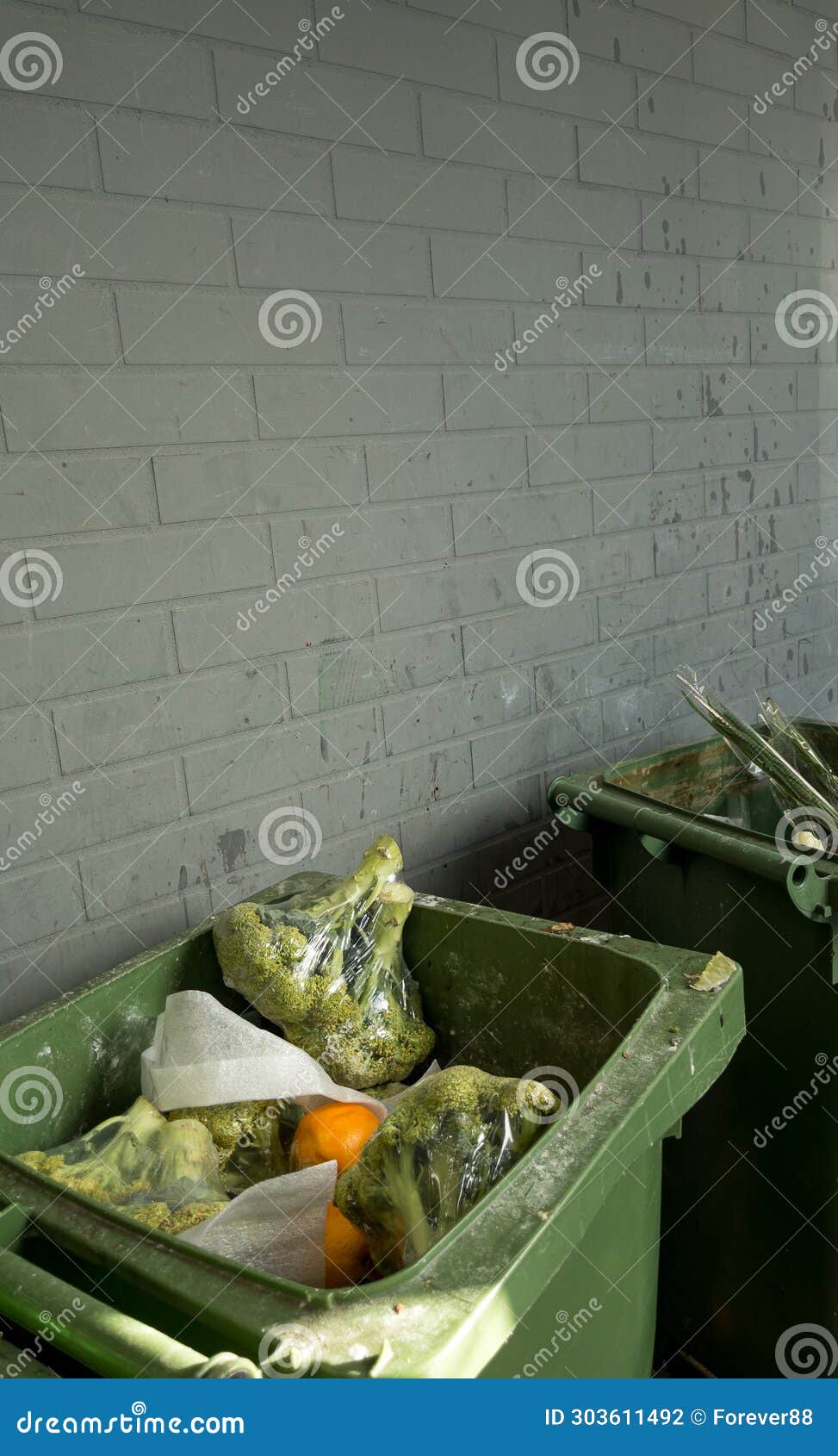 Garbage Cans with Rotting Broccoli and Vegetables in Plastic Packaging ...