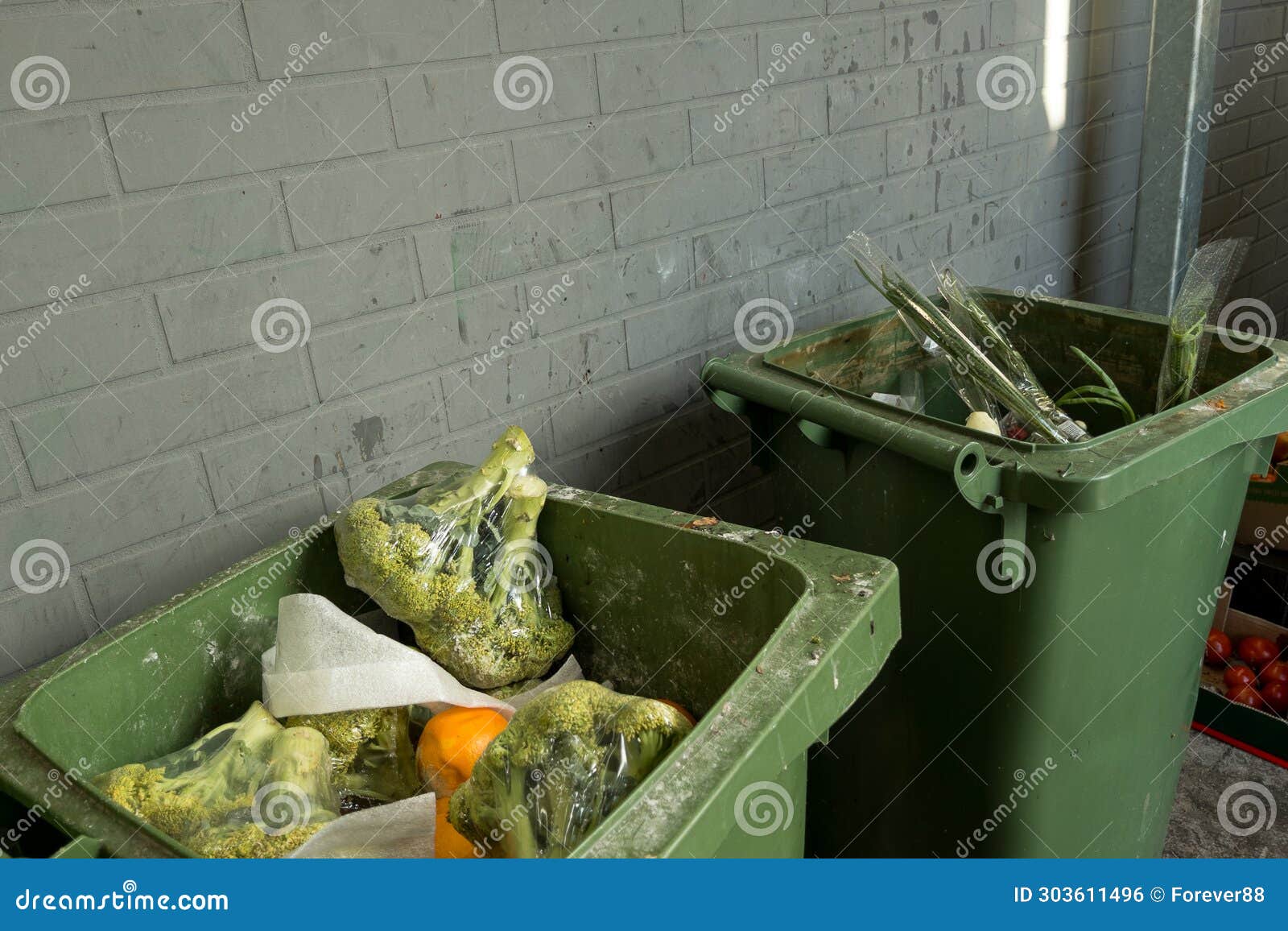 Garbage Cans with Rotting Broccoli and Vegetables in Plastic Packaging ...