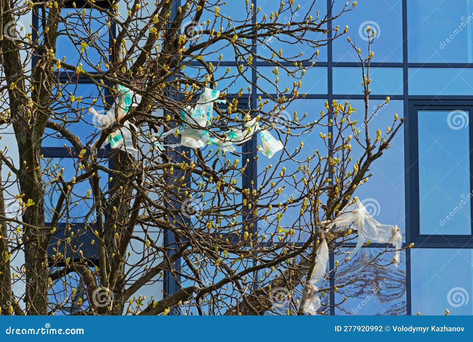 Garbage Caught on Tree Branches Near a Modern Building in the City ...