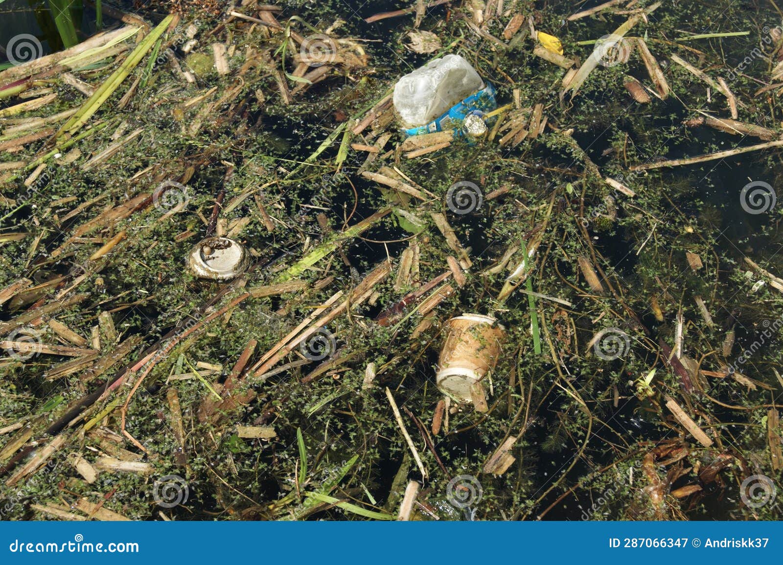 Ecological Problems. Garbage in the City Canal Stock Image - Image of ...